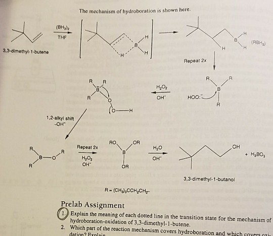 Solved The mechanism of hydroboration is shown here (BHa)2 | Chegg.com