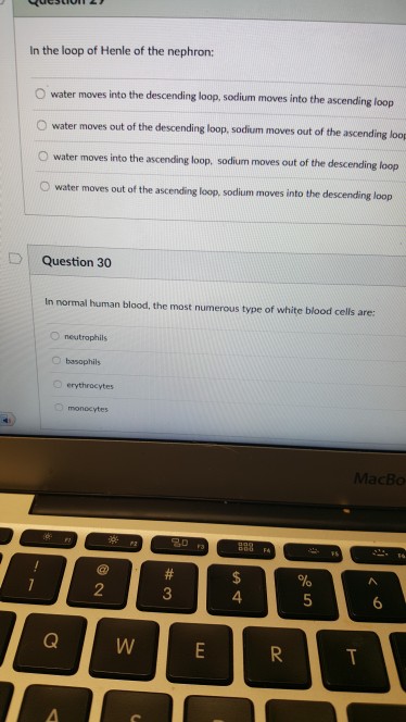 Solved In the loop of Henle of the nephron: O water moves | Chegg.com