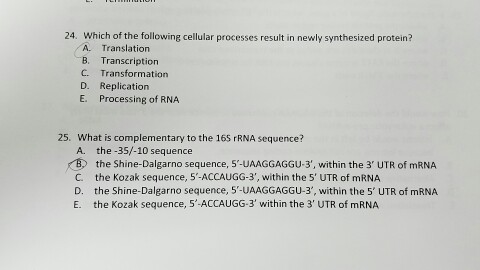 Solved 21. in which direction is the MRNA read during | Chegg.com