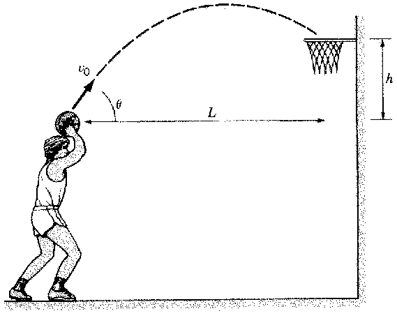 Solved A basketball player throws the ball at a 44Â° angle | Chegg.com