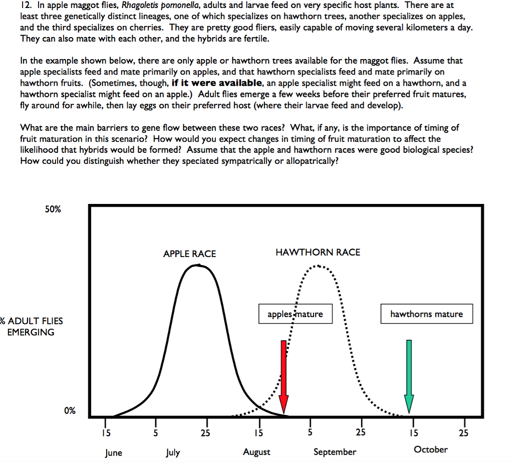 Solved In apple maggot flies, Rhagoletis pomonella, adults | Chegg.com