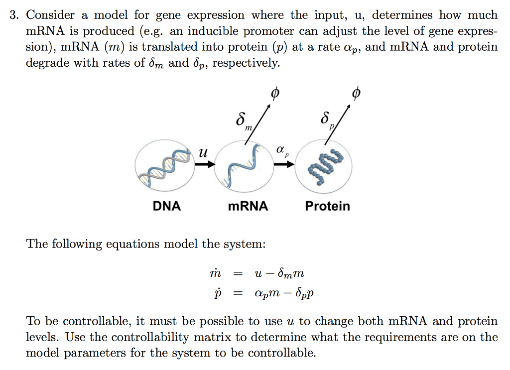 Solved 3. Consider a model for gene expression where the | Chegg.com Solved 3. Consider a model for gene expression where the | Chegg.com