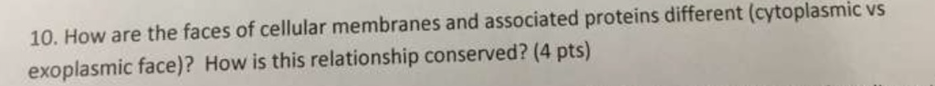 Solved 10. How are the faces of cellular membranes and | Chegg.com