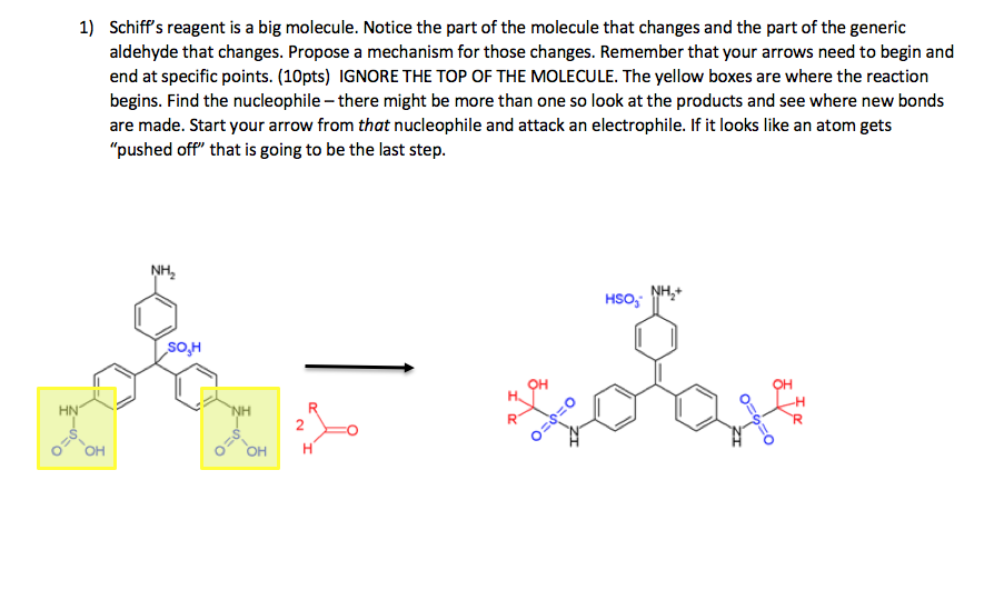 Solved 1) Schiff's reagent is a big molecule. Notice the | Chegg.com