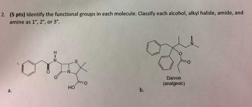 Solved (5 pts) Identify the functional groups in each | Chegg.com