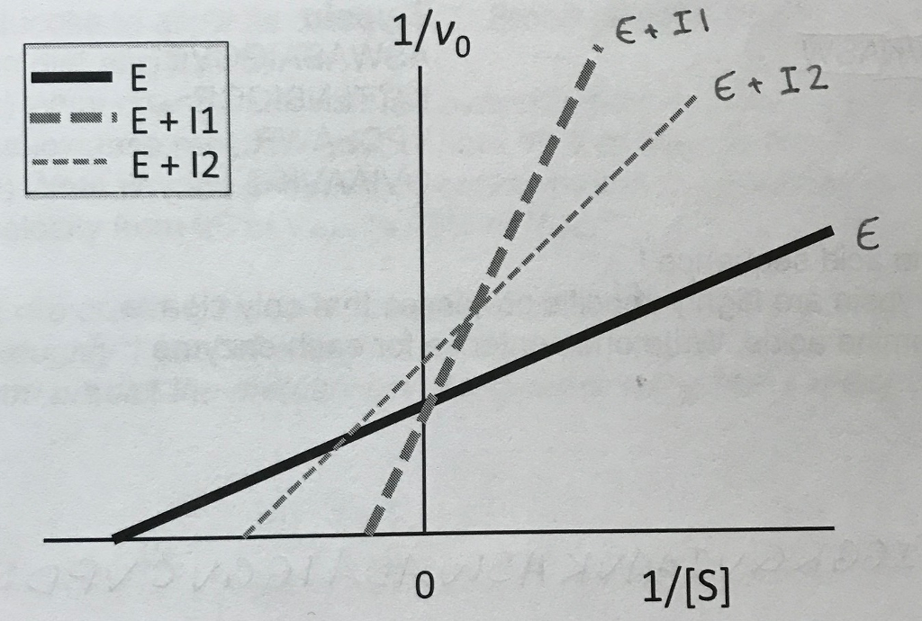 Solved The lineweaver-Burk plot below represents an | Chegg.com