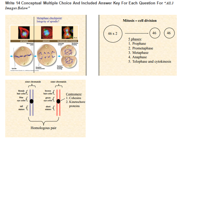 Solved Note: Write 14 Conceptual Multiple Choice And | Chegg.com