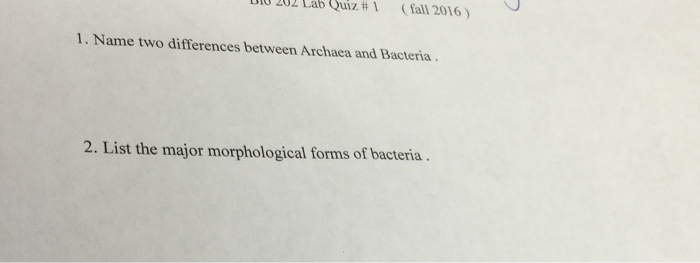 Solved Name two differences between Archaea and Bacteria. | Chegg.com