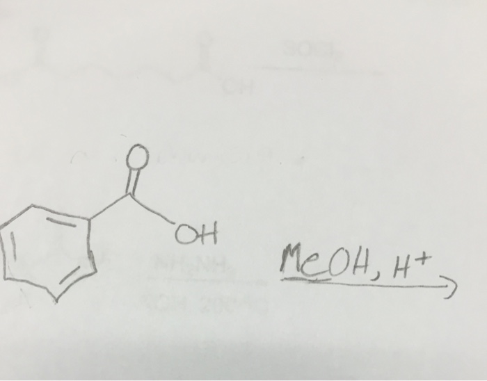 Solved O OH MeOH, H^+ -------> | Chegg.com