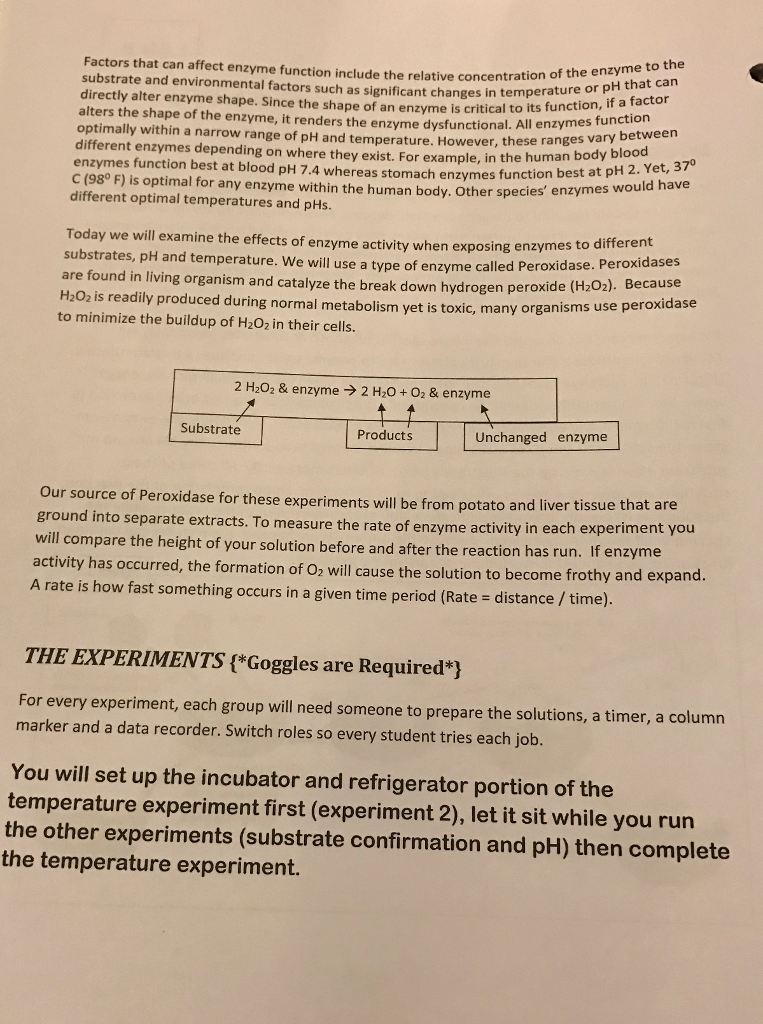 Solved LAB 8 Factors Affecting the Rate of Enzyme Activity | Chegg.com