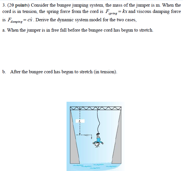 Solved Consider the bungee jumping system, the mass of the | Chegg.com
