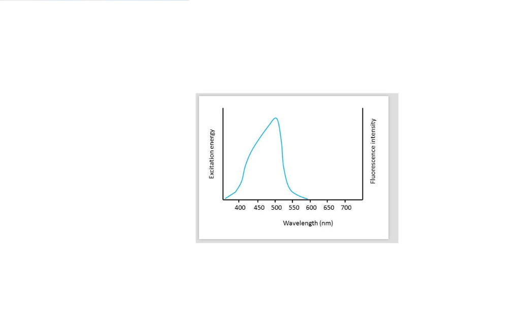Solved 1- The graph below shows the absorption (excitation) | Chegg.com