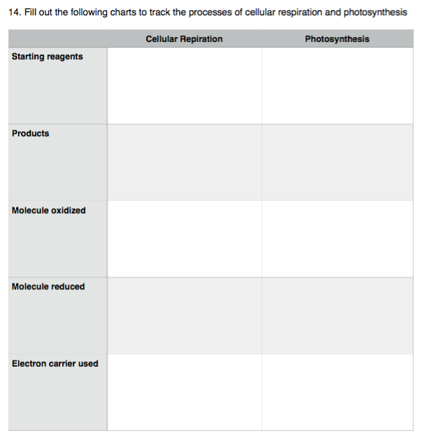 Cellular Respiration And Photosynthesis Chart