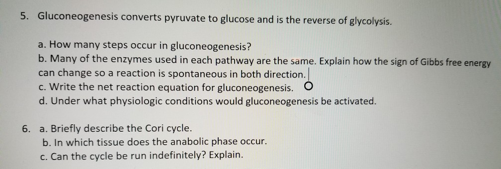 Solved 5. Gluconeogenesis converts pyruvate to glucose and | Chegg.com