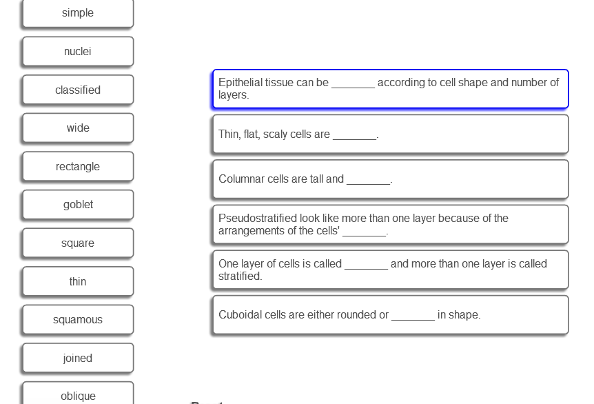 Solved Epithelial tissue can be according to cell shape and | Chegg.com