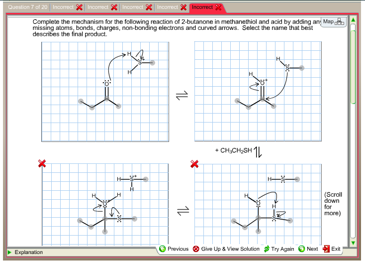 Solved Question 7 of 20 IncorrectIncorrectIncorrect | Chegg.com