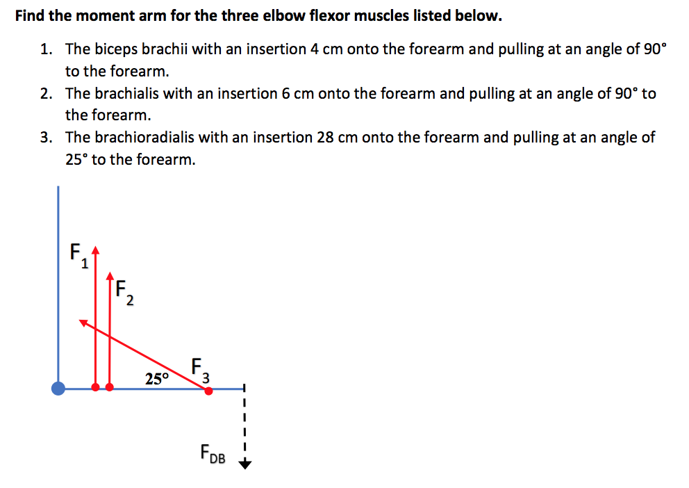 Solved Find the moment arm for the three elbow flexor | Chegg.com