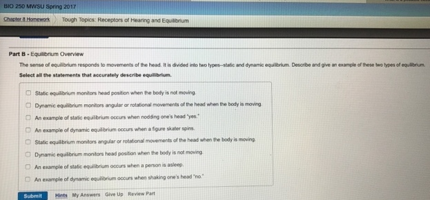 Solved The Sense Of Equilibrium Responds To Movements Of The