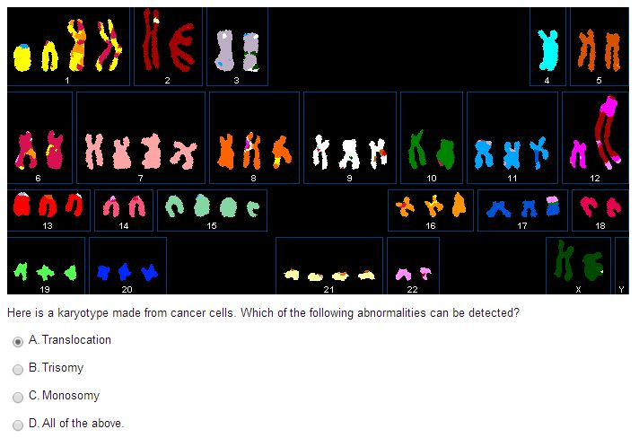 Solved Here is a karyotype made from cancer cells. Which of | Chegg.com