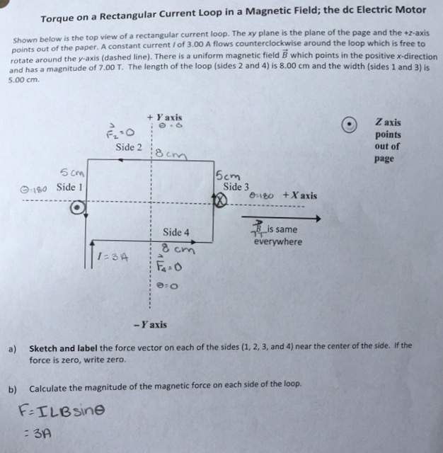 Solved Torque in a Rectangular Current Loop on a Magetic | Chegg.com