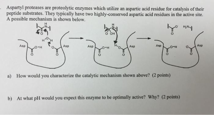 Solved Aspartyl proteases are proteolytic enzymes which | Chegg.com