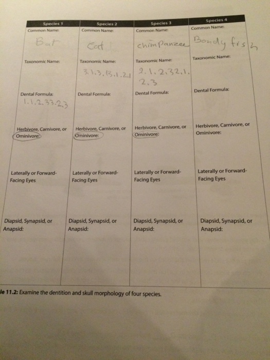 Solved Need this table to be completed | Chegg.com