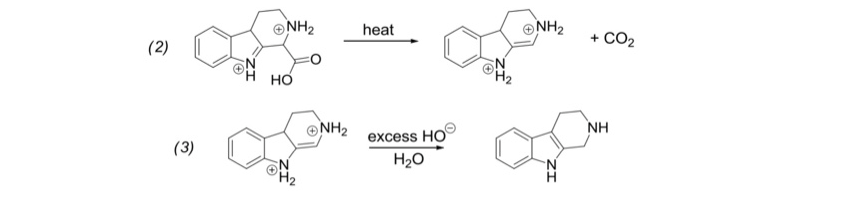 Solved 0NH2 +CO2 NH2 heat NH NH excess HO H20 N2 | Chegg.com