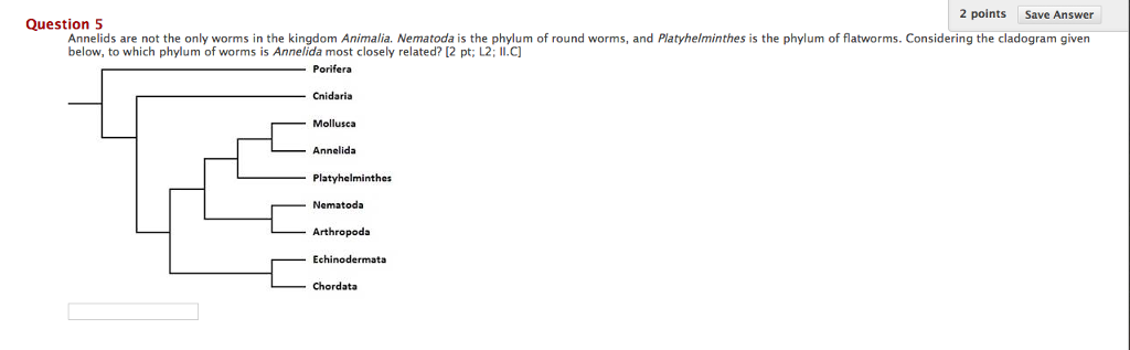 Solved 2 points Save Answer Question 5 Annelids are not the | Chegg.com