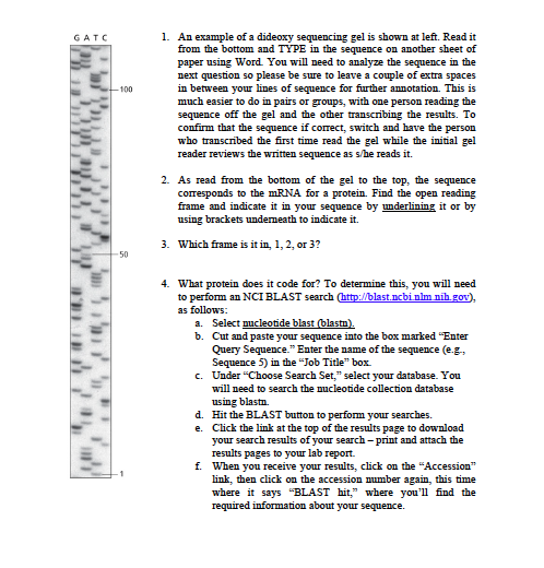 Solved GATC 1. An example of a dideoxy sequencing gel is | Chegg.com