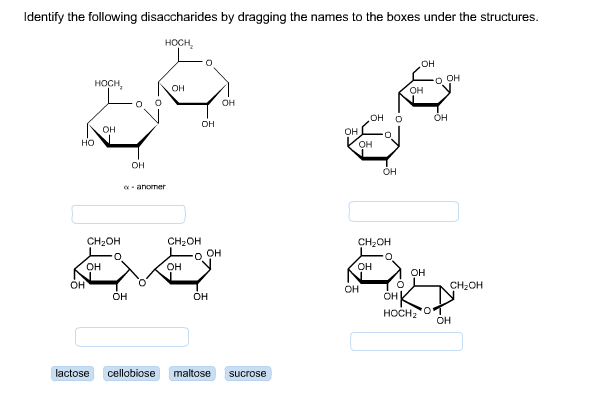 Solved Identify the following disaccharides by dragging the | Chegg.com