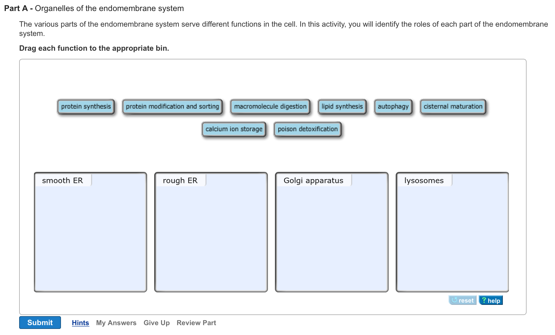 Solved Part A - Exocytosis and endocytosis Sort the phrases | Chegg.com