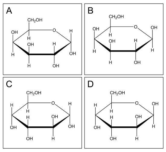 Solved 1a) Is the saccharide in the Fischer projection below | Chegg.com Solved 1a) Is the saccharide in the Fischer projection below | Chegg.com