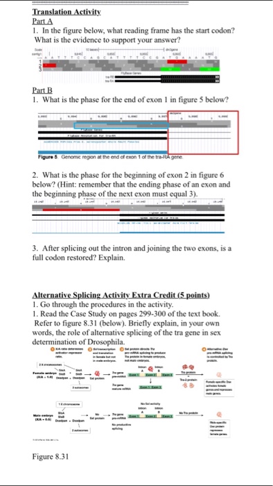 In the figure below, what reading frame has the start | Chegg.com