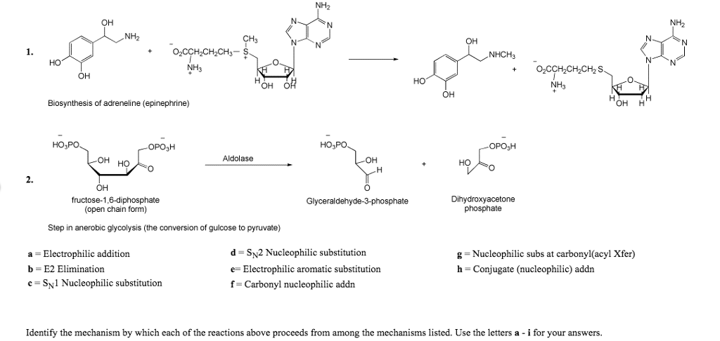 Solved NH2 NHCH3 NH3 OH OF NH3 OH Biosynthesis of adreneline | Chegg.com
