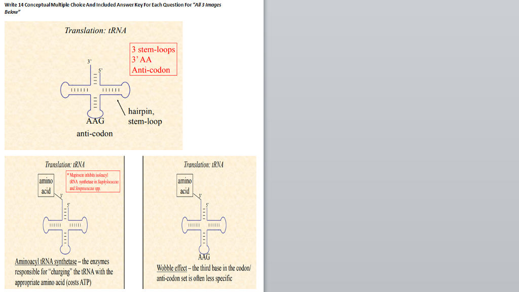 Solved Note: Write 14 Conceptual Multiple Choice And | Chegg.com