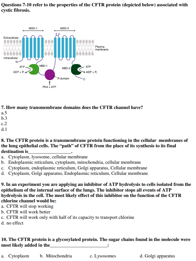 Solved Questions 7-10 refer to the properties of the CFTR | Chegg.com