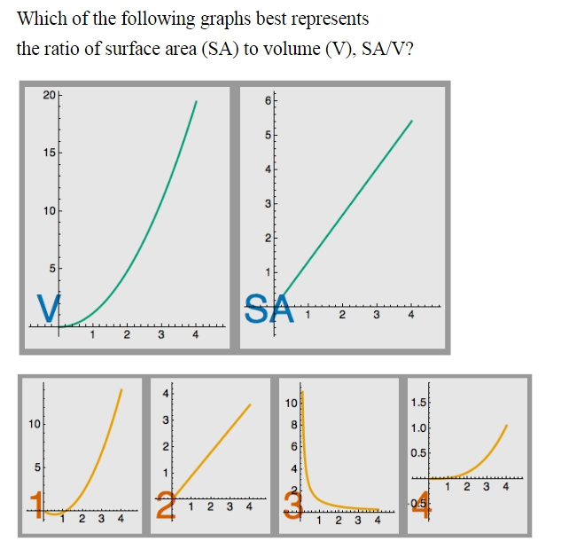 Solved Which of the following graphs best represents the | Chegg.com
