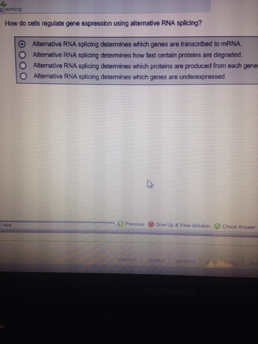 Solved alleaming How do cells regulate gene expression using | Chegg.com