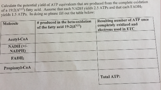 Solved Calculate the potential yield of ATP cquivalents that | Chegg.com