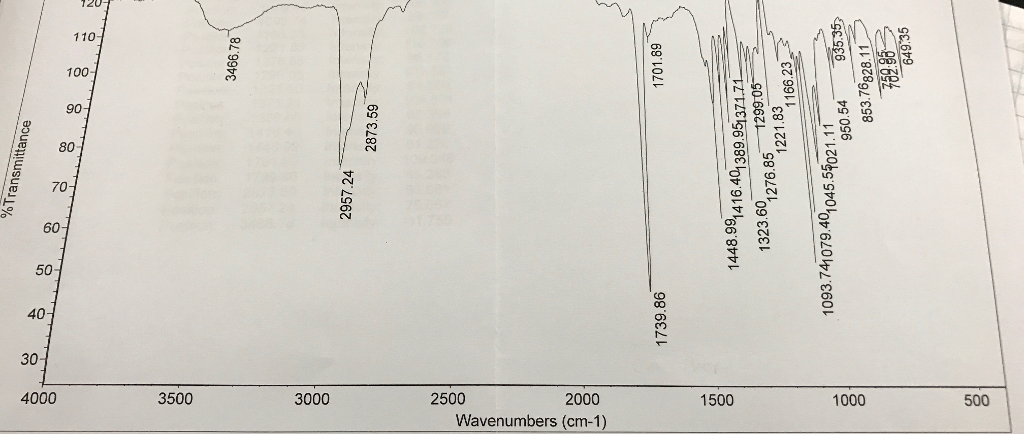 Solved Oxidation-Reduction Scheme: Borneol, Camphor, | Chegg.com