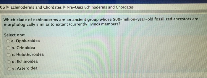 Solved Which clade of echinoderms are an ancient group whose | Chegg.com