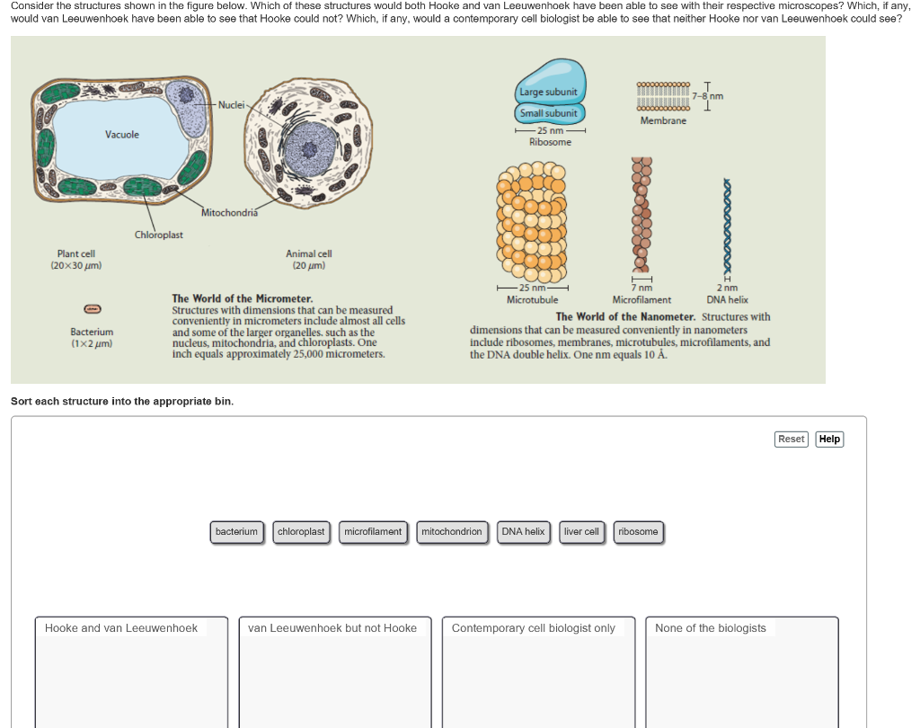 Solved Consider the structures shown in the figure below. | Chegg.com
