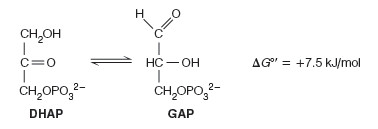 Solved In another key reaction in glycolysis, | Chegg.com