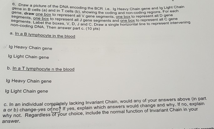 Solved 6. Draw a picture of the DNA encoding the BCR i.e. Ig | Chegg.com
