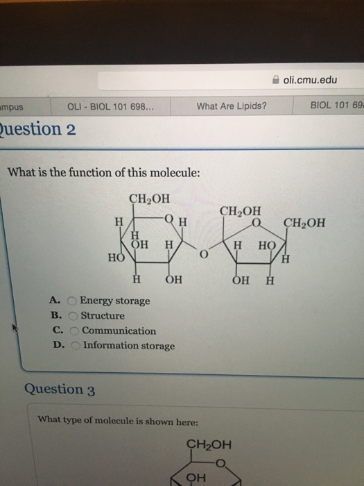 Solved What is the function of this molecule: Energy | Chegg.com