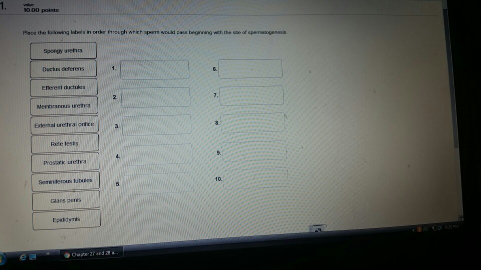 Solved value: 10.00 points Place the following labels in | Chegg.com