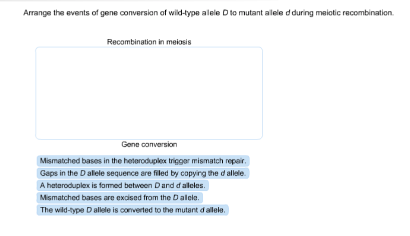 Solved Arrange the events of gene conversion of wild-type | Chegg.com Solved Arrange the events of gene conversion of wild-type | Chegg.com