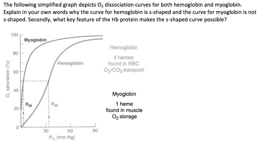 Solved The following simplified graph depicts O2 | Chegg.com