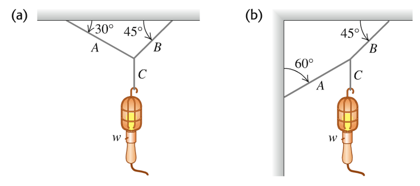 Solved Find the tension in each cord if the weight of the | Chegg.com