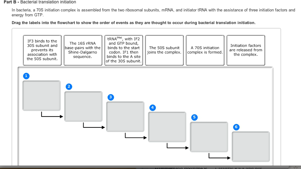 Part B Bacterial translation initiation In bacteria, | Chegg.com